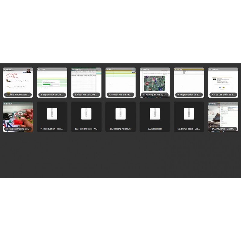CAT DPF DELETES User's Guide 7 pdf & video